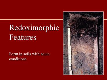 Redoximorphic Features Form in soils with aquic conditions presentation ...
