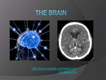 PPT – The Brain PowerPoint presentation | free to view - id: 11b890-ZDVhN
