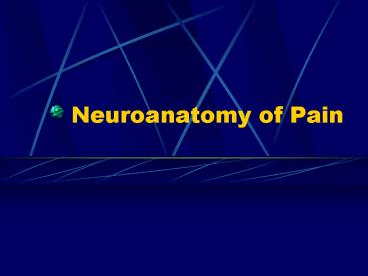 PPT – Neuroanatomy of Pain PowerPoint presentation | free to view - id ...