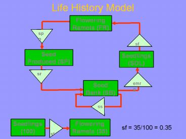Life History Model presentation | free to view