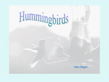 Hummingbirds presentation | free to view