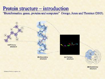 Protein structure introduction presentation | free to view