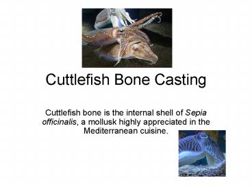 Cuttlefish Bone Casting presentation | free to view