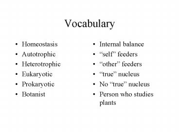 PPT – Vocabulary PowerPoint presentation | free to view - id: 11da17-NWMxZ