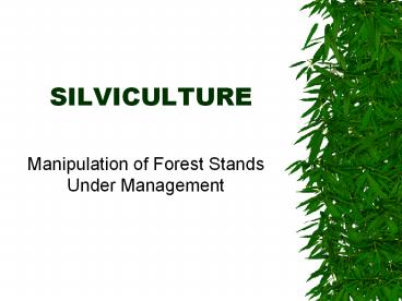 SILVICULTURE presentation | free to view