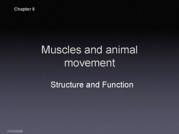 Muscles and animal movement presentation | free to view