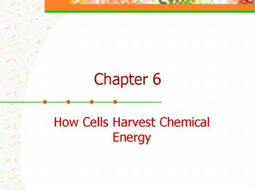 How Cells Harvest Chemical Energy presentation | free to view