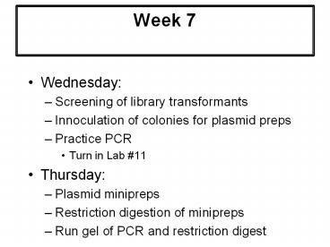 Week 7 presentation | free to download