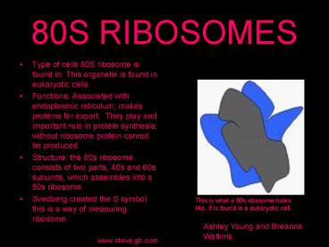 80S RIBOSOMES presentation | free to view