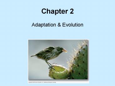 PPT – Adaptation PowerPoint presentation | free to view - id: 121266-N2E1M