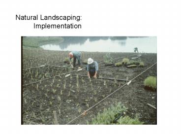 Natural Landscaping: Implementation presentation | free to view