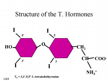 Structure of the T. Hormones presentation | free to view
