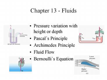 PPT – Chapter 13 Fluids PowerPoint presentation | free to view - id ...