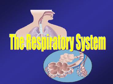 The Respiratory System presentation | free to view
