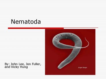 PPT – Nematoda PowerPoint presentation | free to view - id: 124ae8-MzMyM