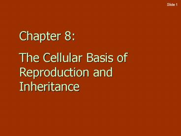 The Cellular Basis of Reproduction and Inheritance presentation | free ...