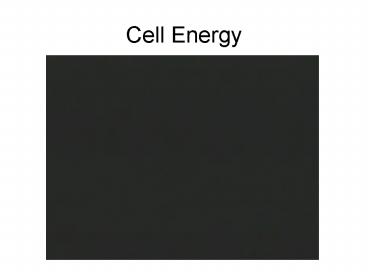 Cell Energy presentation | free to view