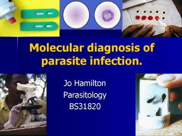 Molecular diagnosis of parasite infection. presentation | free to view