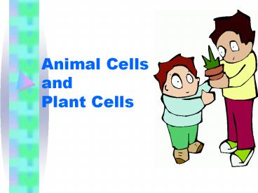 Animal Cells and Plant Cells presentation | free to view