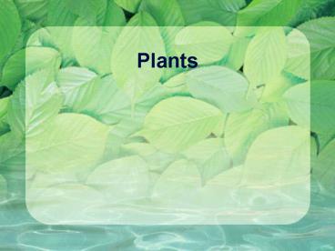 PPT – Plants PowerPoint presentation | free to view - id: 126f47-YzY2N