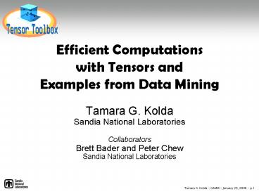 Efficient Computations with Tensors and Examples from Data Mining ...