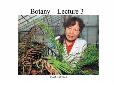 Botany Lecture 3 presentation | free to view