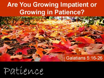 Patience presentation | free to view