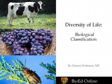 PPT – Diversity of Life: Biological Classification PowerPoint ...