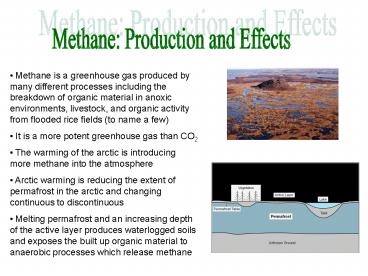 Methane: Production and Effects presentation | free to view