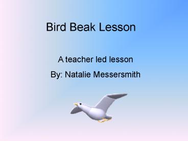 Bird Beak Lesson presentation | free to view