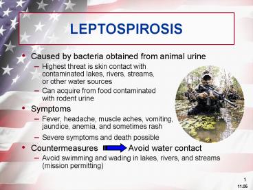 PPT – LEPTOSPIROSIS PowerPoint presentation | free to view - id: 132016-OGEyM