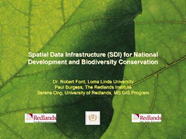 Spatial Data Infrastructure SDI for National Development and ...