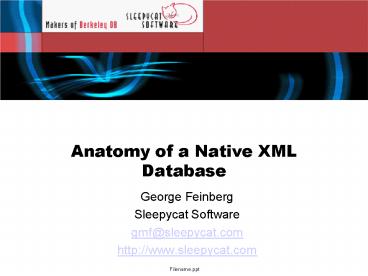Anatomy of a Native XML Database presentation | free to view