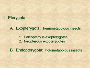 II' Pterygota A' Exopterygota: hemimetabolous insects 1' Paleopterous ...