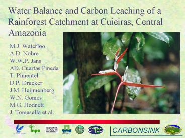Water Balance and Carbon Leaching of a Rainforest Catchment at Cuieiras ...