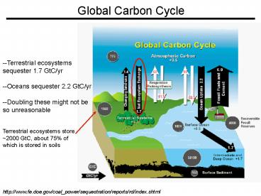 PPT – Global Carbon Cycle PowerPoint presentation | free to view - id ...