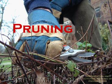 Pruning presentation | free to view