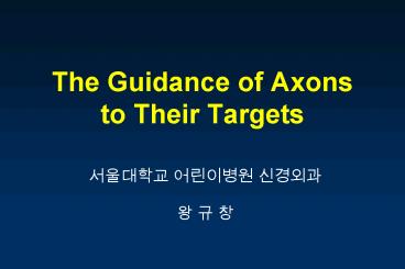 The Guidance of Axons to Their Targets presentation | free to view