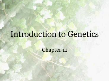 Introduction to Genetics presentation | free to view