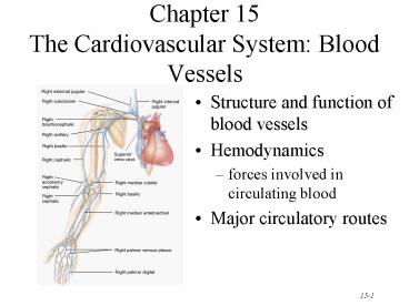 PPT – Chapter 15 The Cardiovascular System: Blood Vessels PowerPoint ...