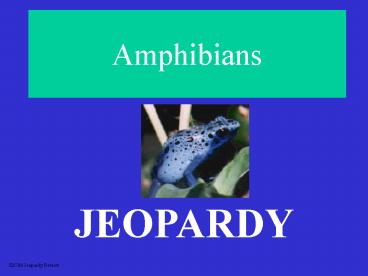 PPT – Amphibians PowerPoint presentation | free to view - id: 15a845-N2E5N