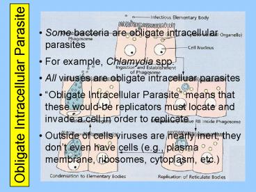 Obligate Intracellular Parasite presentation | free to view