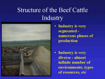 Structure of the Beef Cattle Industry presentation | free to view