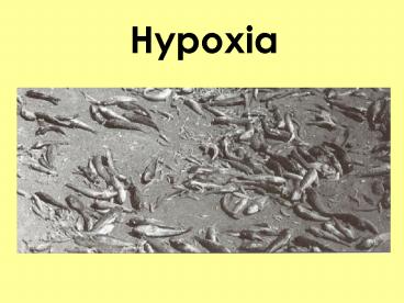Hypoxia presentation | free to view