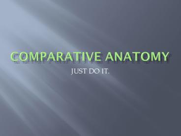Comparative Anatomy Ppt Comparative Anatomy | PPT