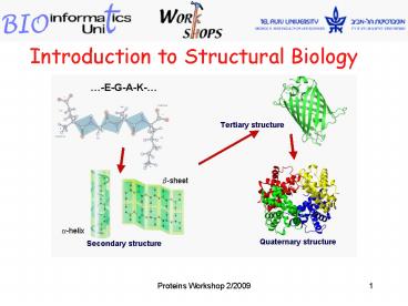 PPT – Introduction to Structural Biology PowerPoint presentation | free ...