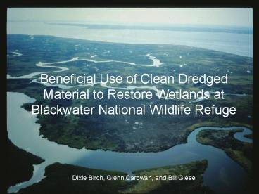 Wetland Restoration presentation | free to view