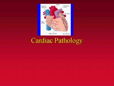 Cardiac Pathology presentation | free to view