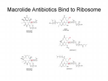 Macrolide Antibiotics Bind to Ribosome presentation | free to view