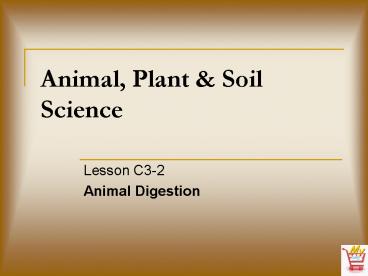 Animal, Plant presentation | free to view